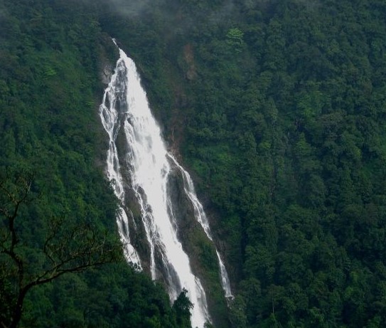 Kodaikanal Tour - Tamil Nadu