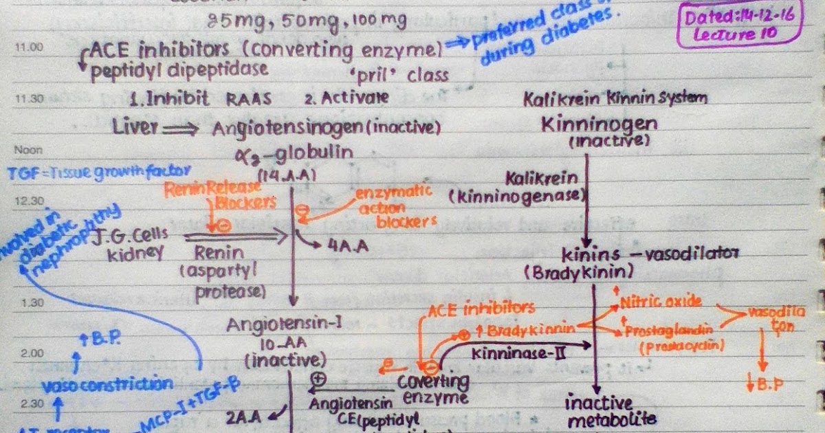 Classification of Renin Angiotensin System Drugs | Raas Drugs PPT ...