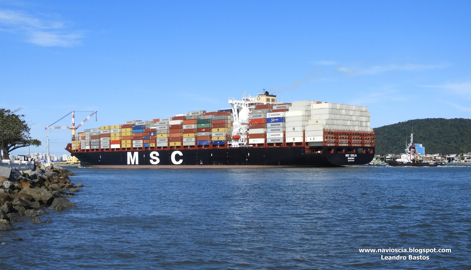 Navios de Santos & CIA: Navio MSC GIULIA