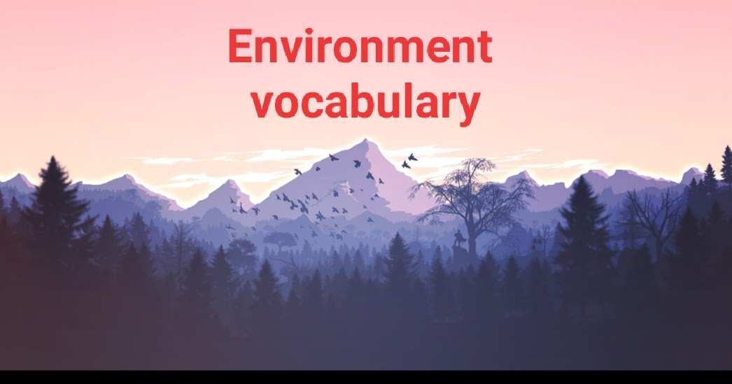 Environment Vocabulary