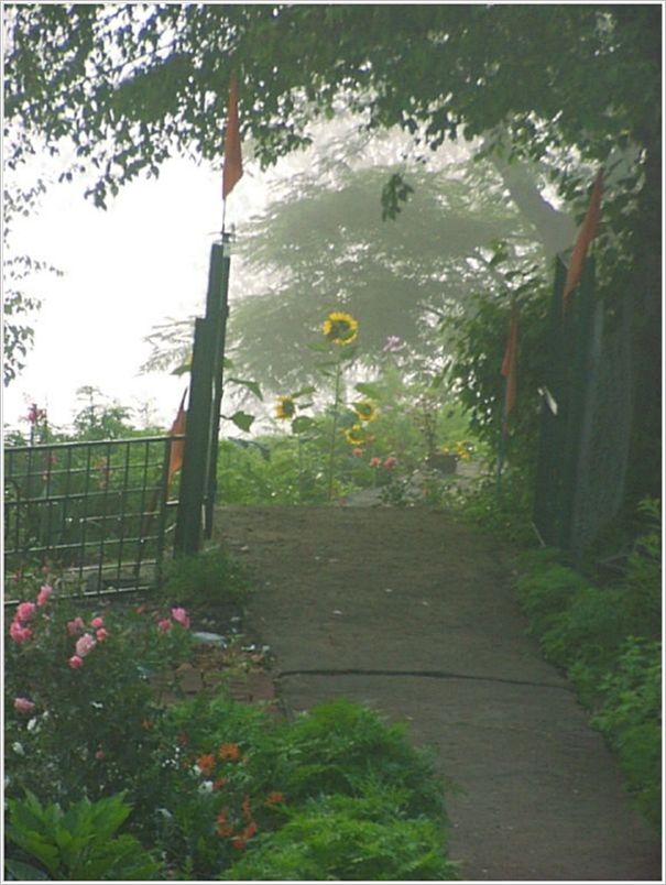 Kunsi Ashram Photo Album | Purusha at Maharishi Ashram - Kunsi ...