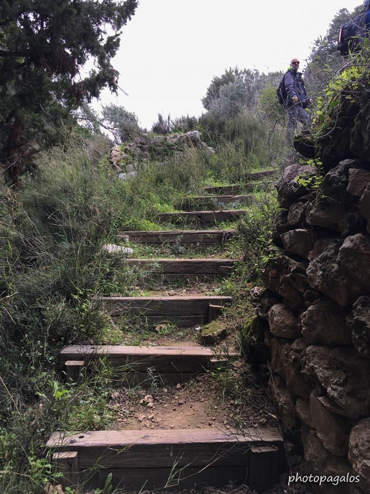 EXPLORE MOUNTAINS: ΠΕΖΟΠΟΡΙΑ ΣΤΙΣ ΑΡΧΑΝΕΣ (ΚΝΩΣΣΑΝΟ ΦΑΡΑΓΓΙ-ΦΟΥΡΝΙ ...