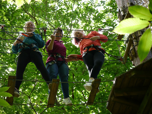 Mummy From The Heart: Go Ape Treetop Challenge in a time of Social ...