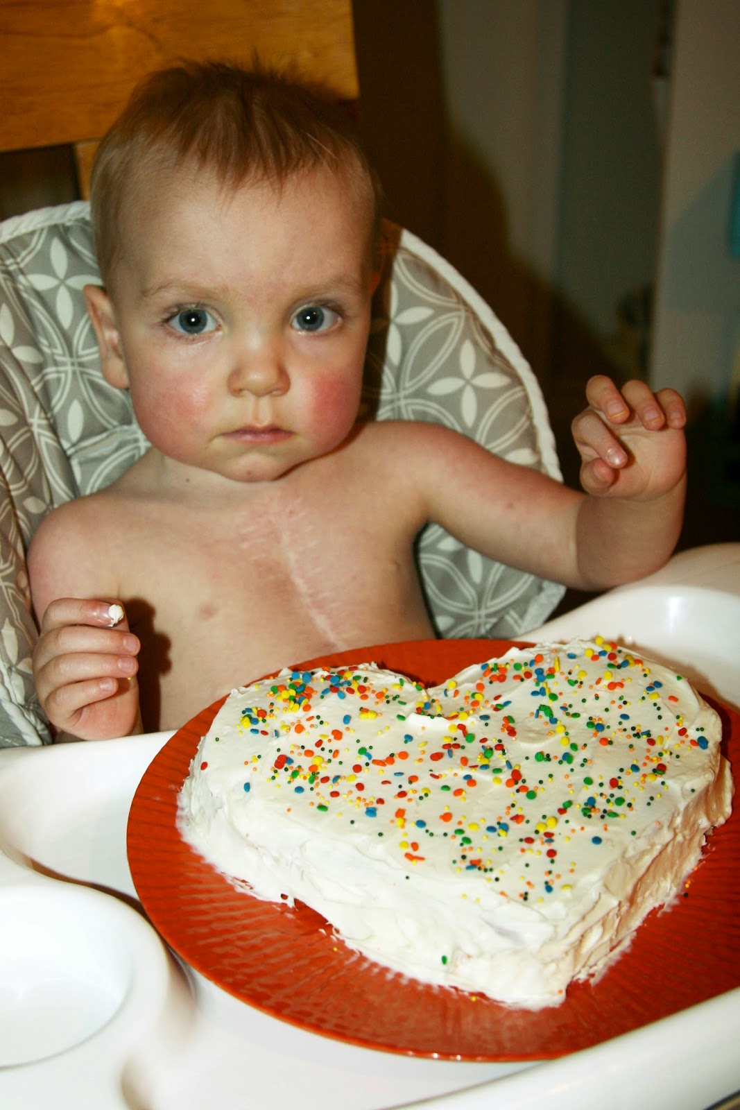 Bailey Beginnings: A Fresh Look at a New Life