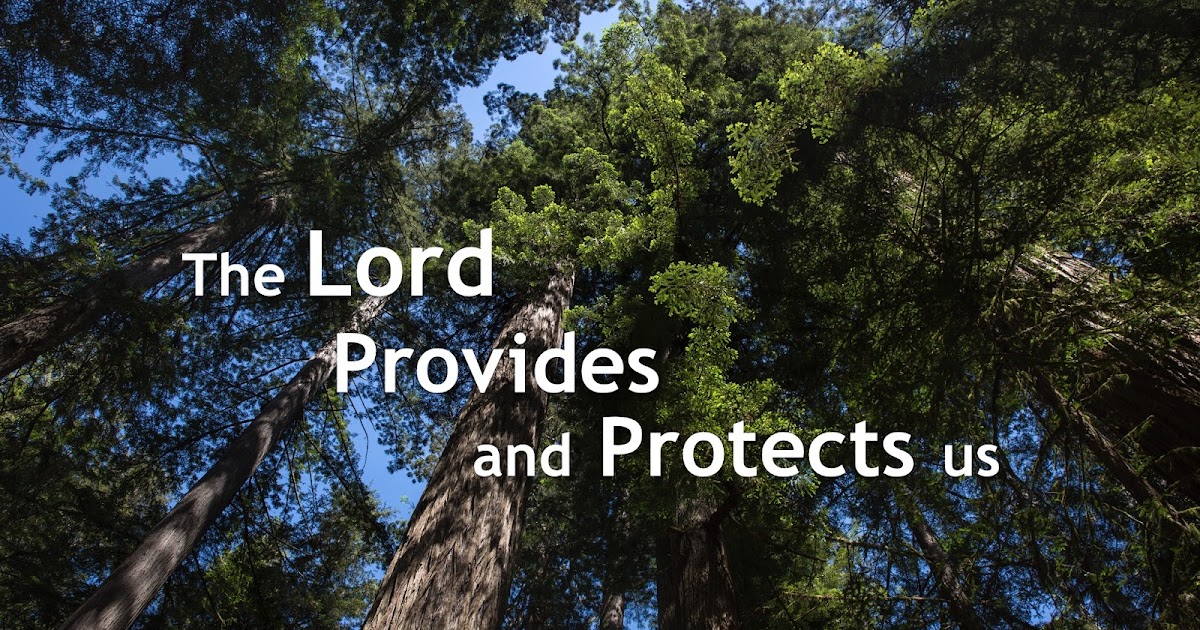 Empowered Bible Studies: The Lord Provides and Protects