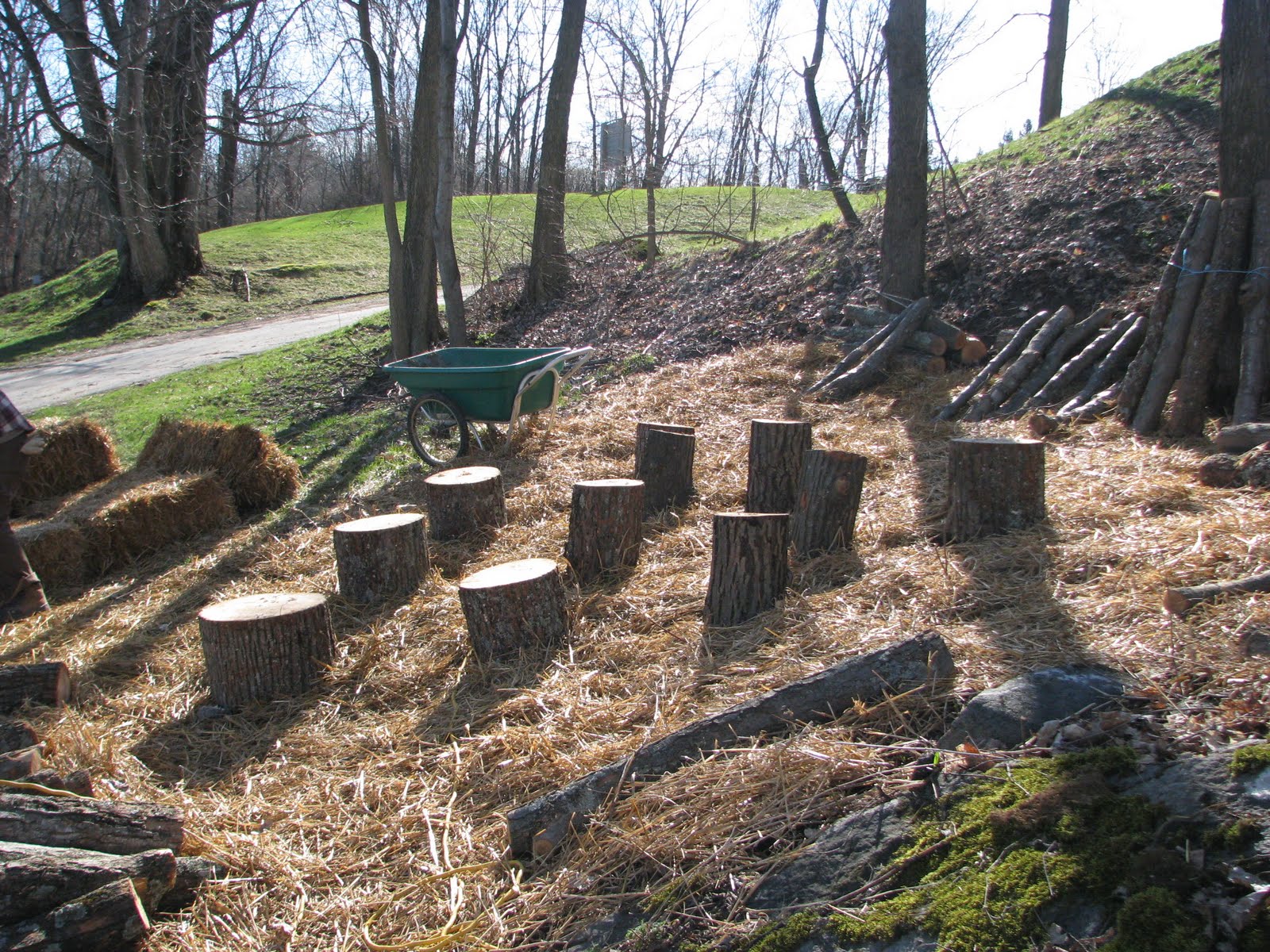 The Tyler Place Family Resort: Shiitake Mushroom Farm