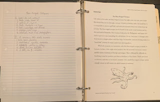 Cummins Life: Structure and Style® for Students Year 1 Level B from ...