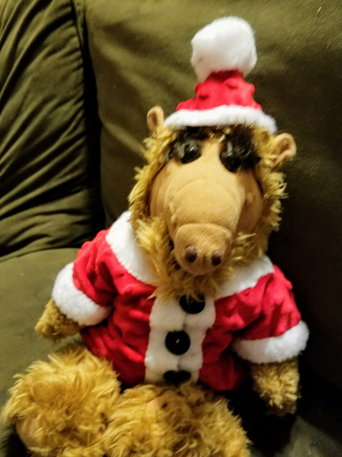 Alf on The Shelf!
