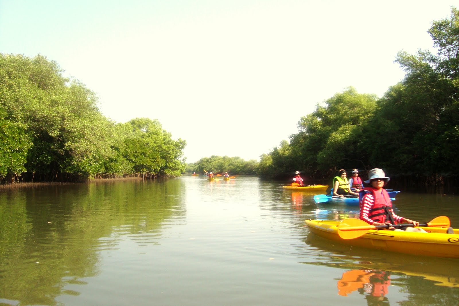 Palolem Kayaking: Goa Kayaking trips in the Zuari and Nerul rivers