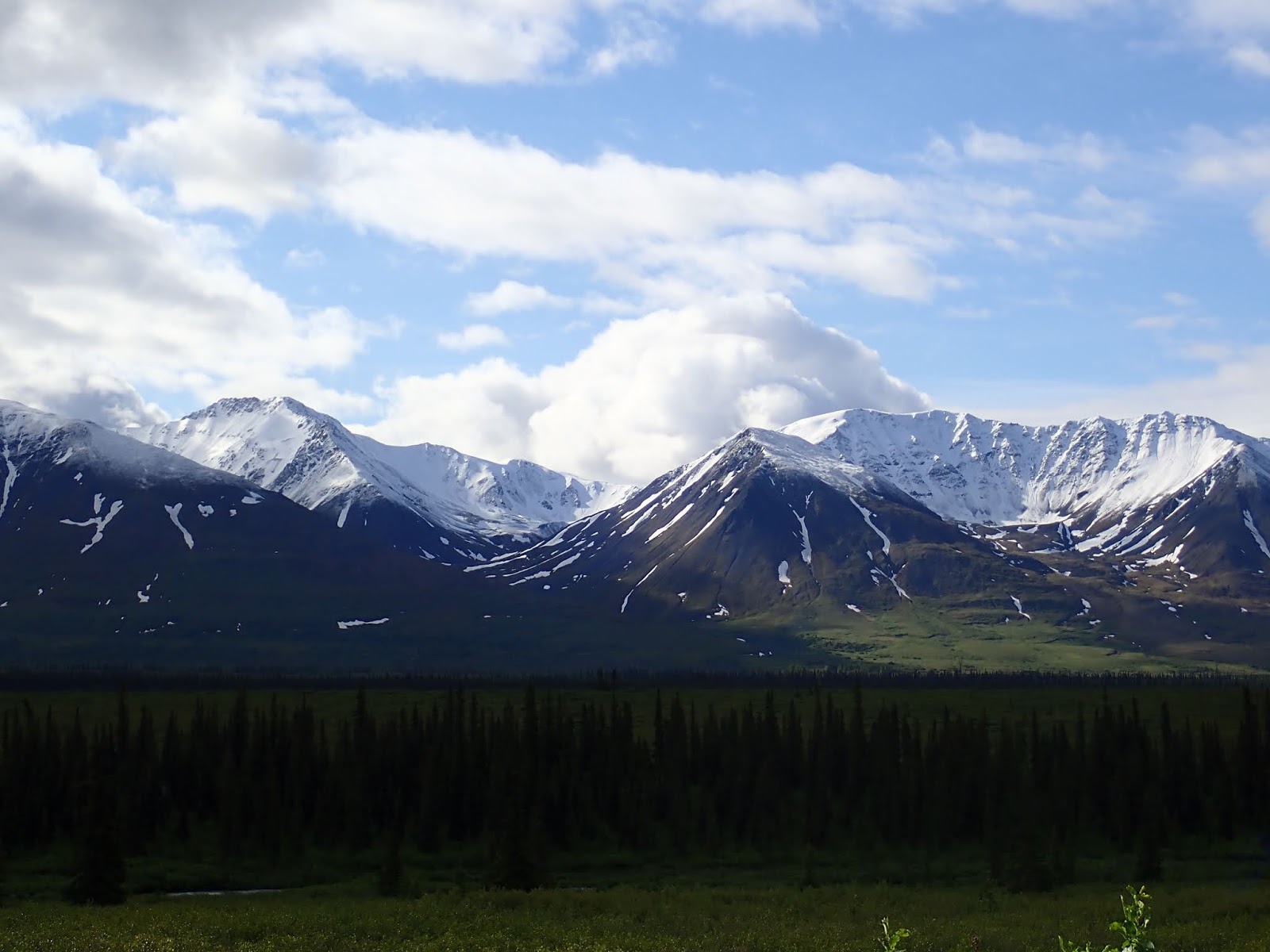 USA- Alaska- Denali National Park and Preserve