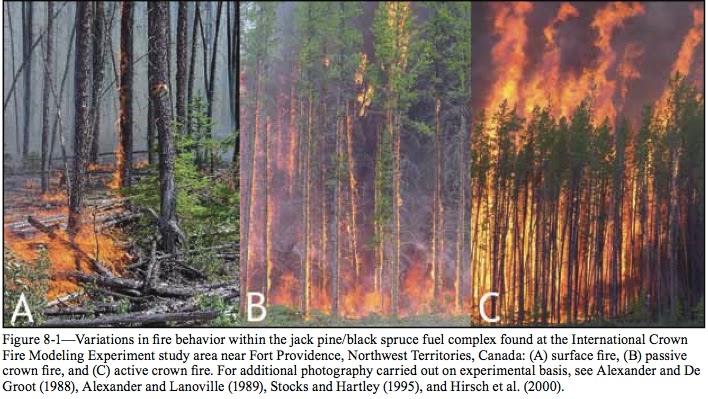 Geology in Motion: Megafires: The New Norm