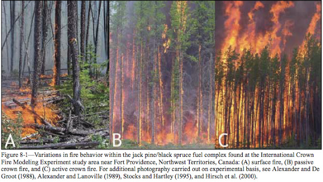 Geology in Motion: Megafires: The New Norm