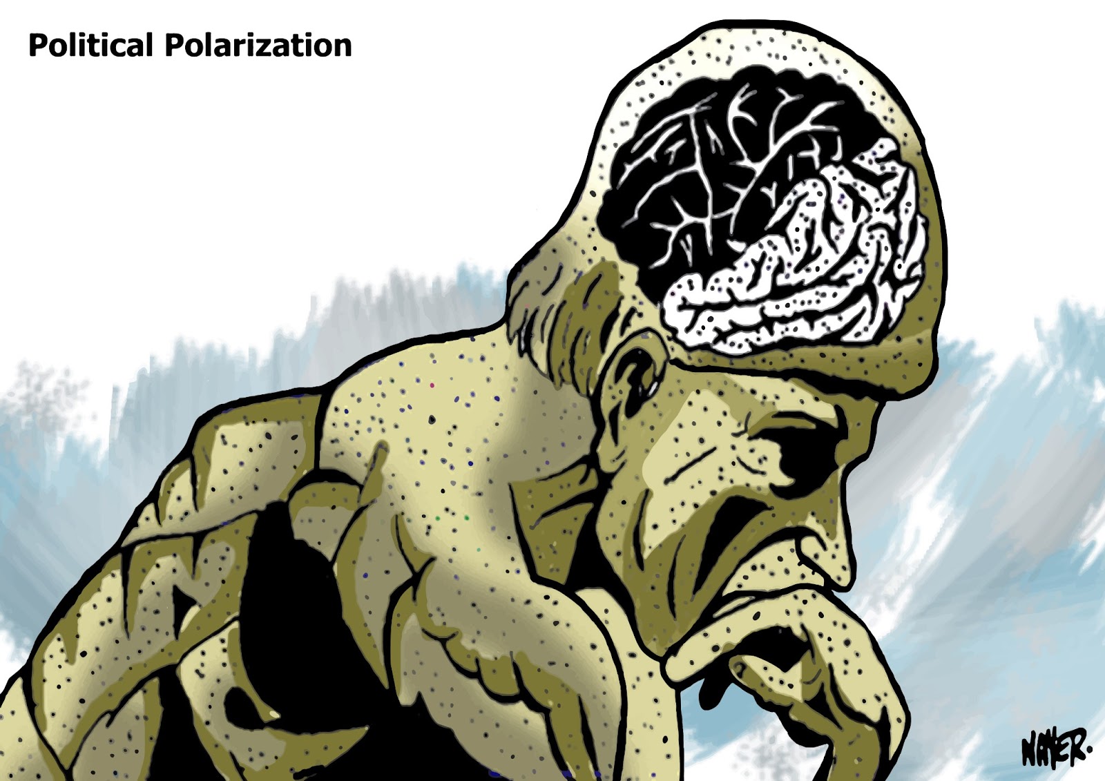 Talal Nayer: Political Polarization