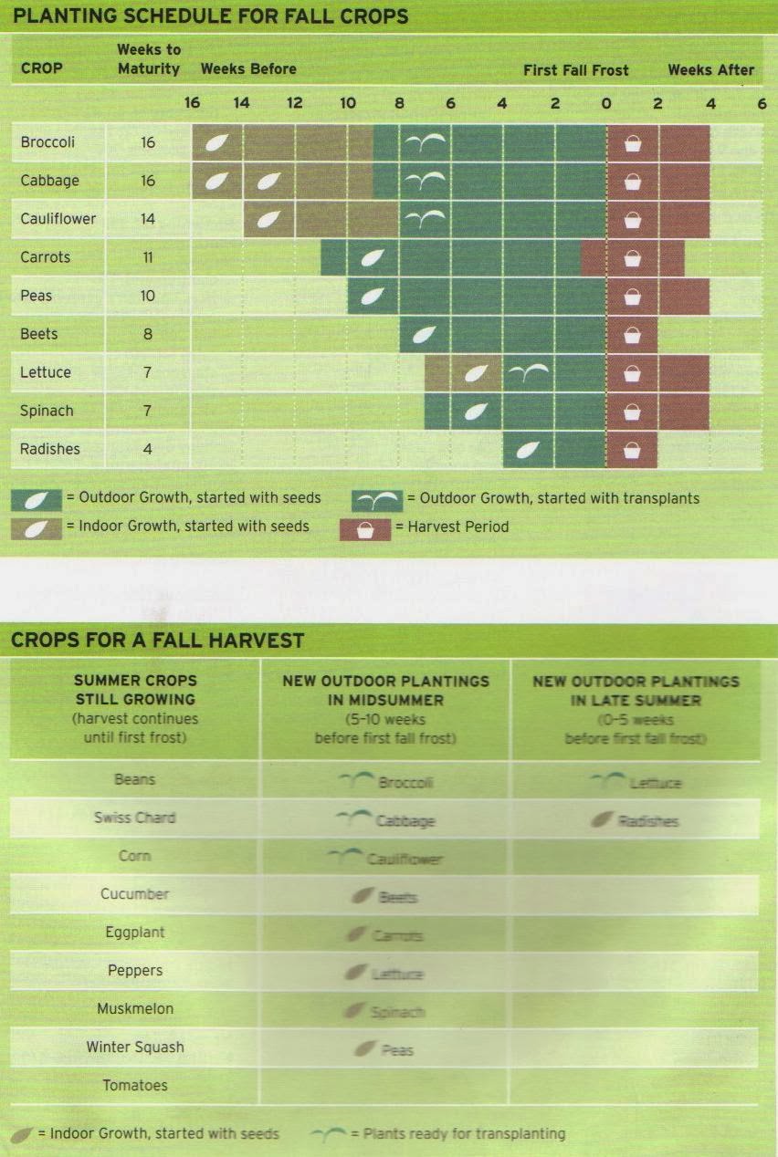 Zanesville Growing Together: Planting Schedules