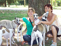 WHIPPET PARTY - Confraria dos Galgos