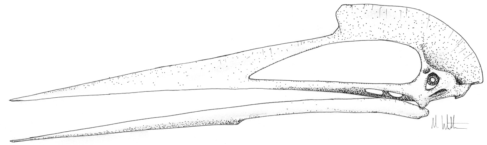 Pterosaur.net Blog: Pterosaur books to know and love, part 3: Pterosaur ...
