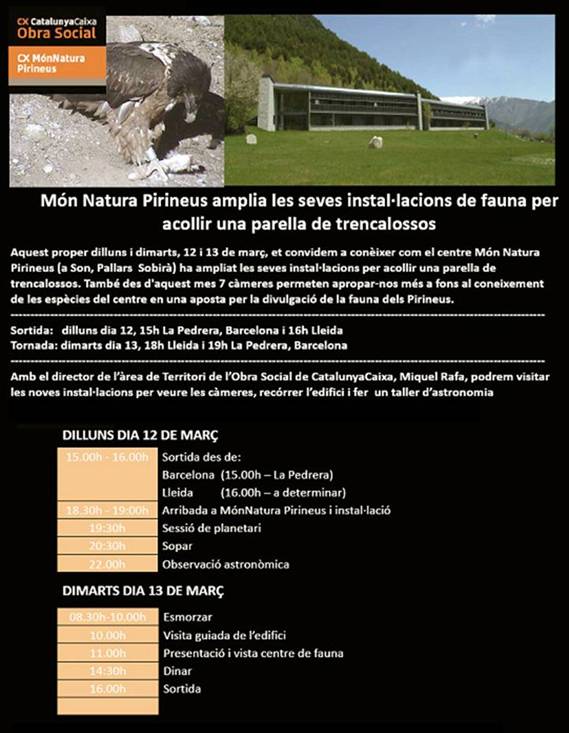 Blog del Màrius Domingo, Ca la Gallineta: Son del Pi.