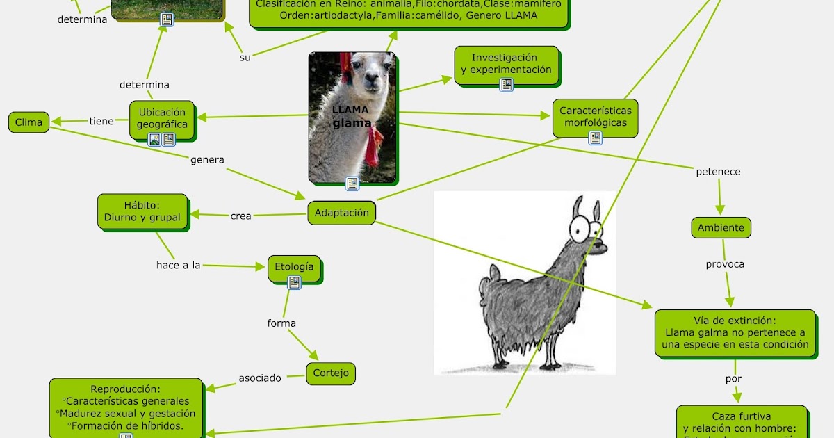 Ecorregiones en Argentina: Mapa conceptual Llama