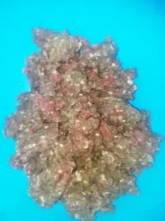 Mince Meatballs Recipe - Yummy Traditional