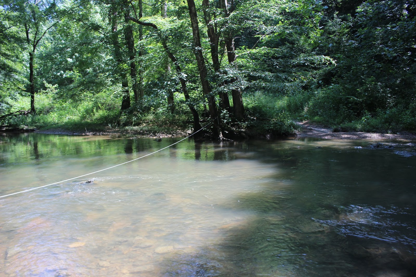 Cumberland Gal: Window Cliffs State Natural Area Hike