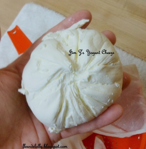 Fleur De Lolly Making Yogurt Cheeze By Guest Blogger Jim Z
