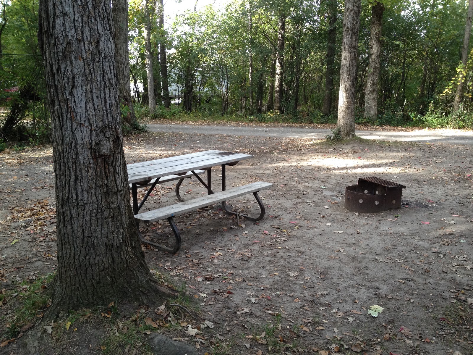 The Campsites: Fitzroy Ontario Provincial Park, site 277