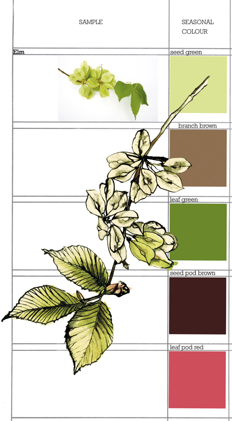 Planet Sam: Colour from the Season - Elm green