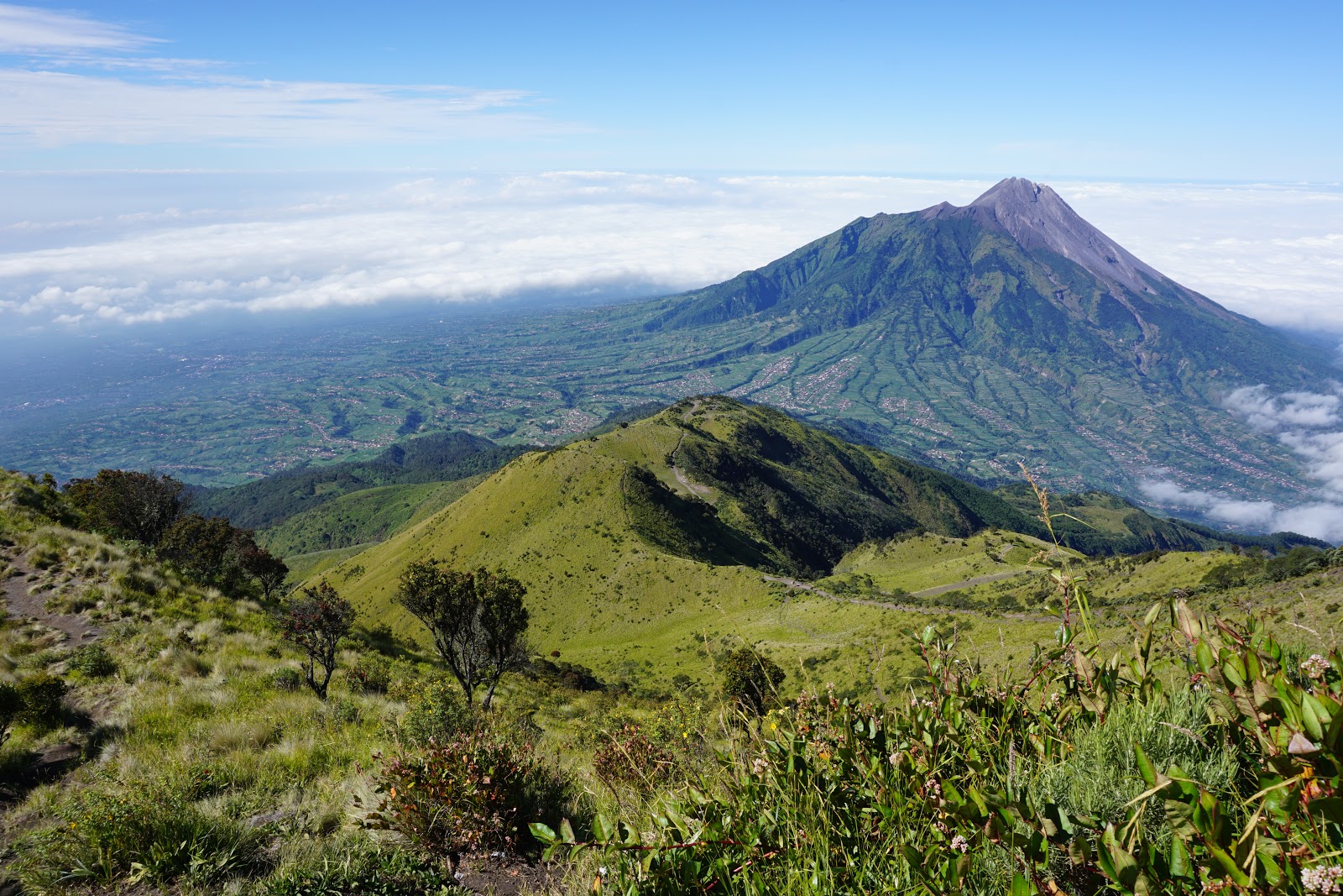 Seven Summit Gunung Merbabu, Base Camp Tekelan - Mount Lover