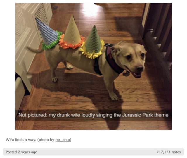 Things that are Funny (100 Pics) - YourDestinationNow