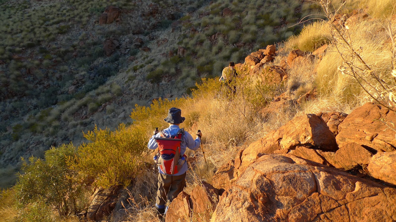 Mountains: Mt Zeil, NT, Australia