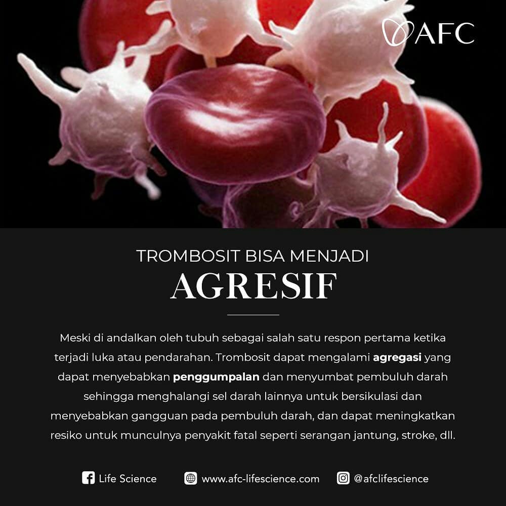 SOP SUBARASHI, UTSUKUSHHII, SOP 100+ dan SENSEI SURU AFC: SOP SUBARASHI