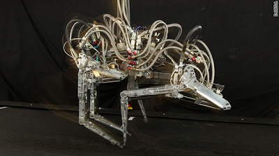 Bizatacora: Robots Zoomorficos