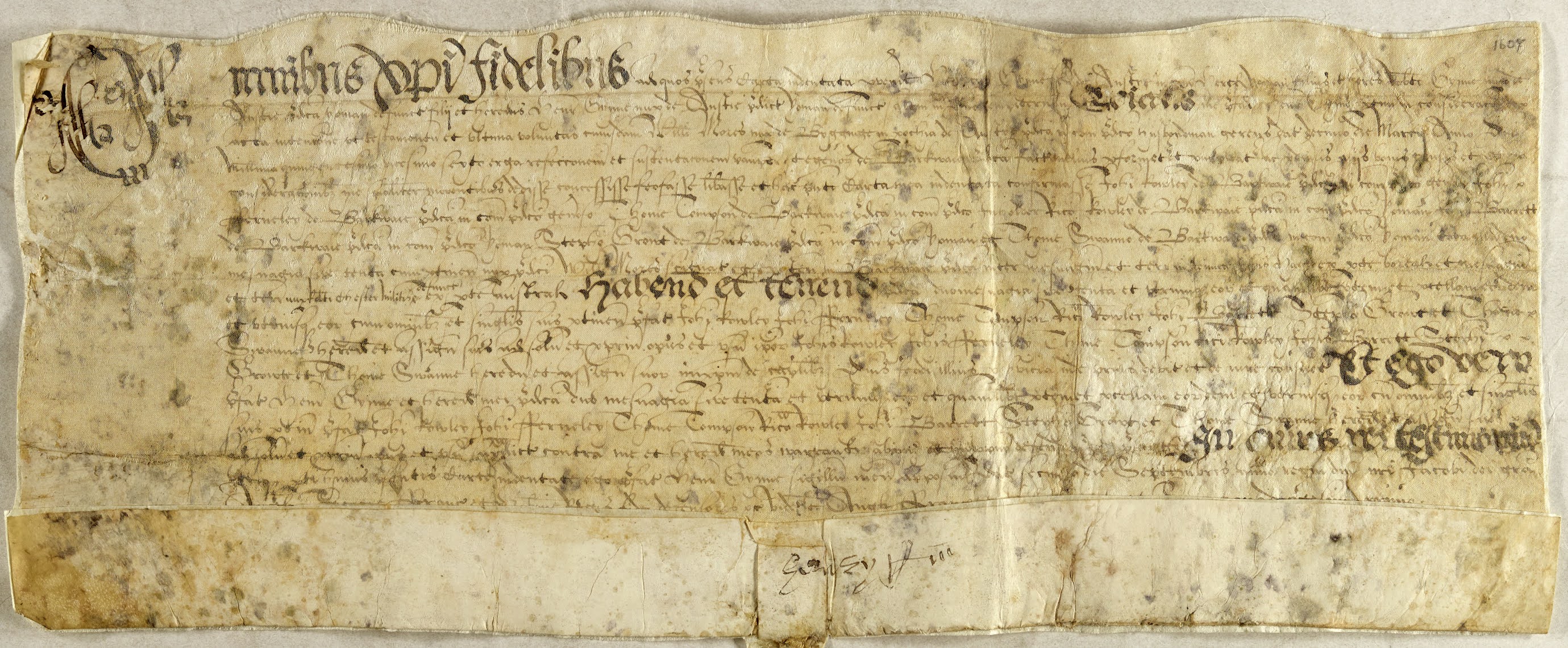 Ginn family of Hertfordshire: Henry Ginn of Anstey d. 1615