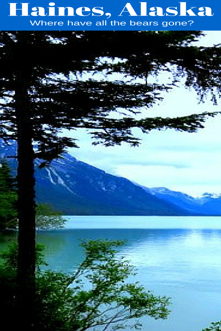 The Travelling Lindfields: Haines, Alaska - Moose, bears, bald eagles ...