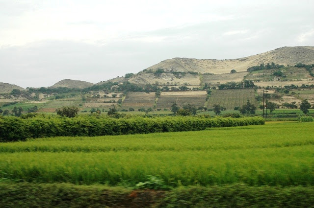 EL RINCÓN DE SCHULTZ (GERARDO CAILLOMA): VIAJE A TAYABAMBA. ILUSIONES Y ...