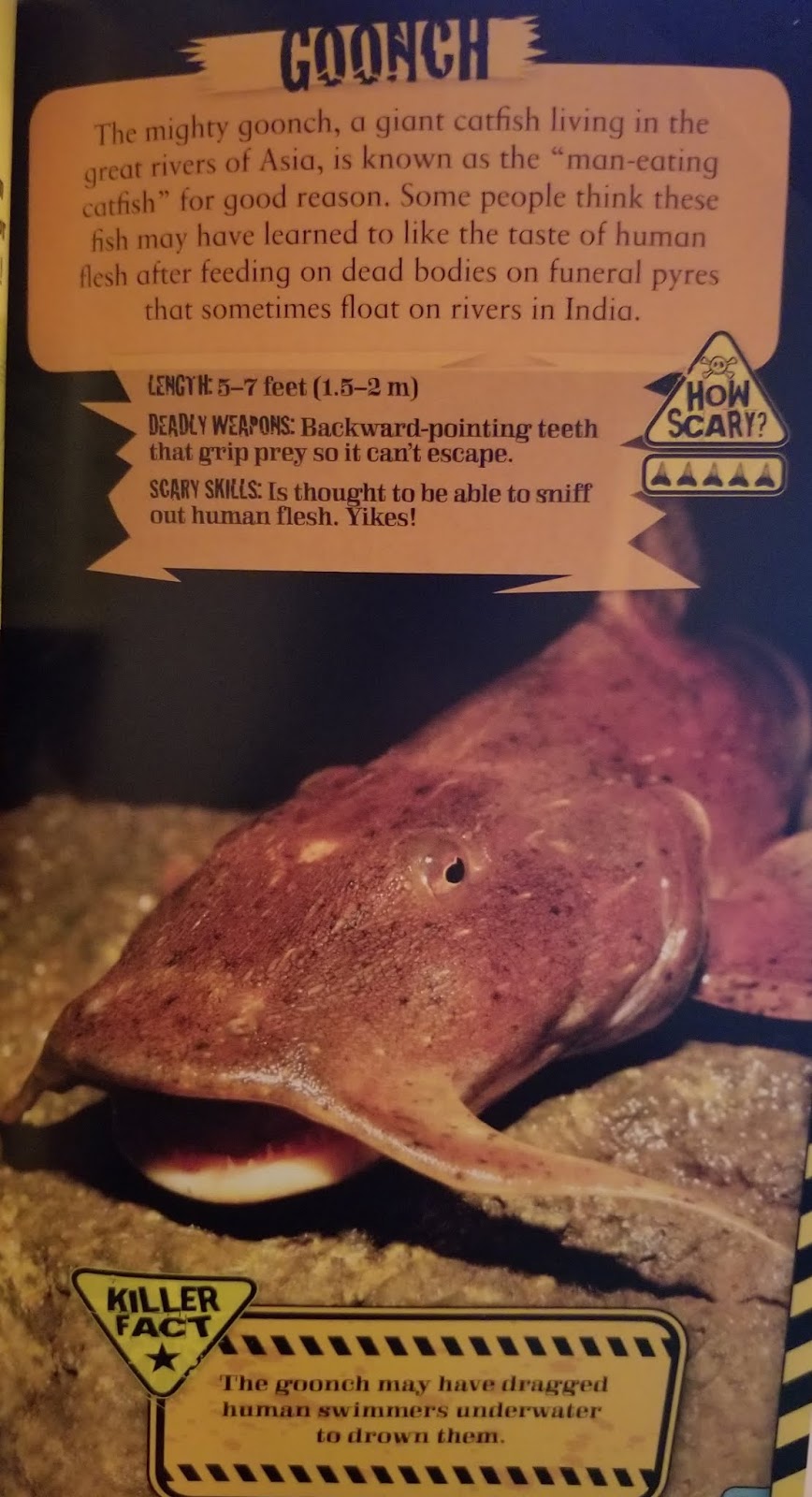 100 Most Feared Creatures