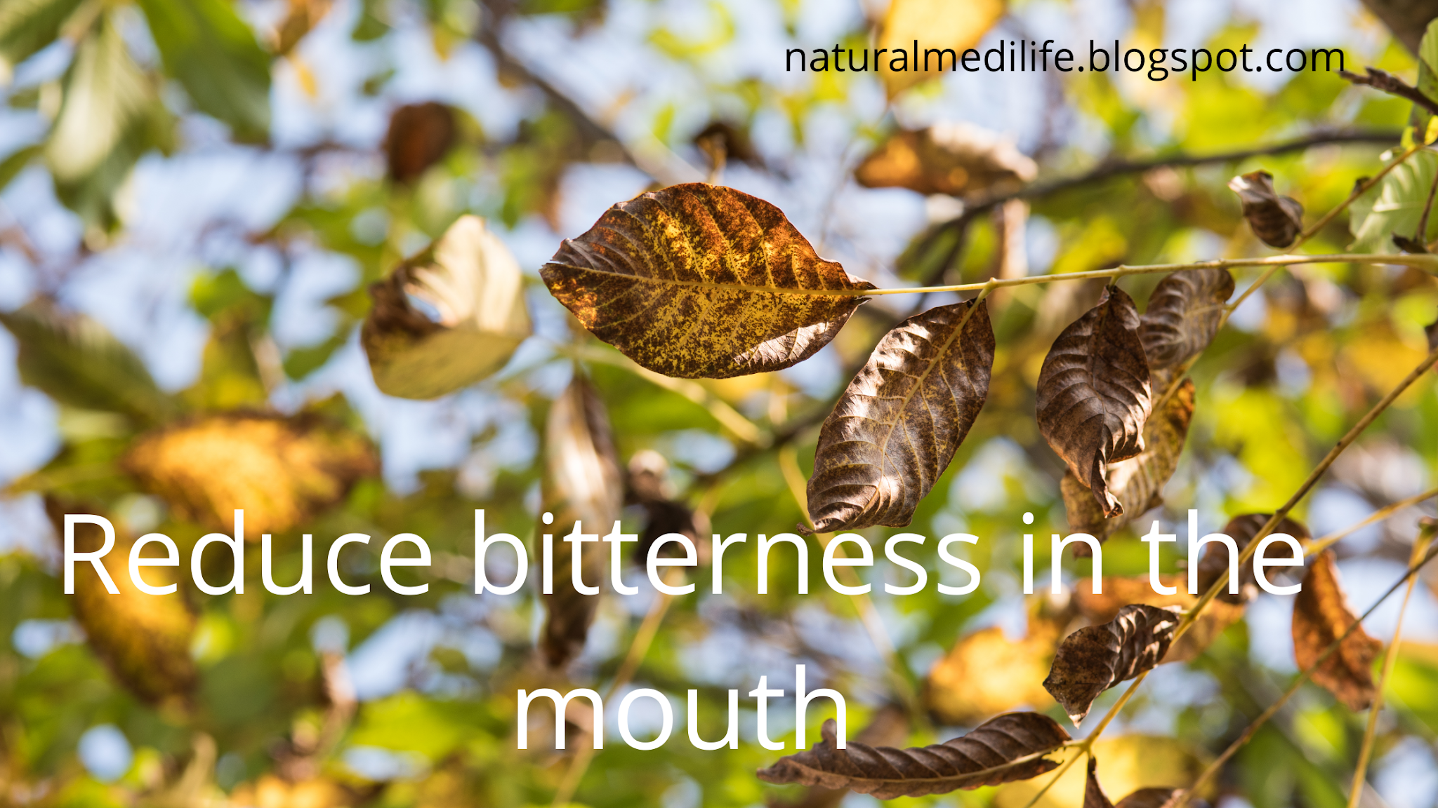 How to prevent bitterness in the mouth