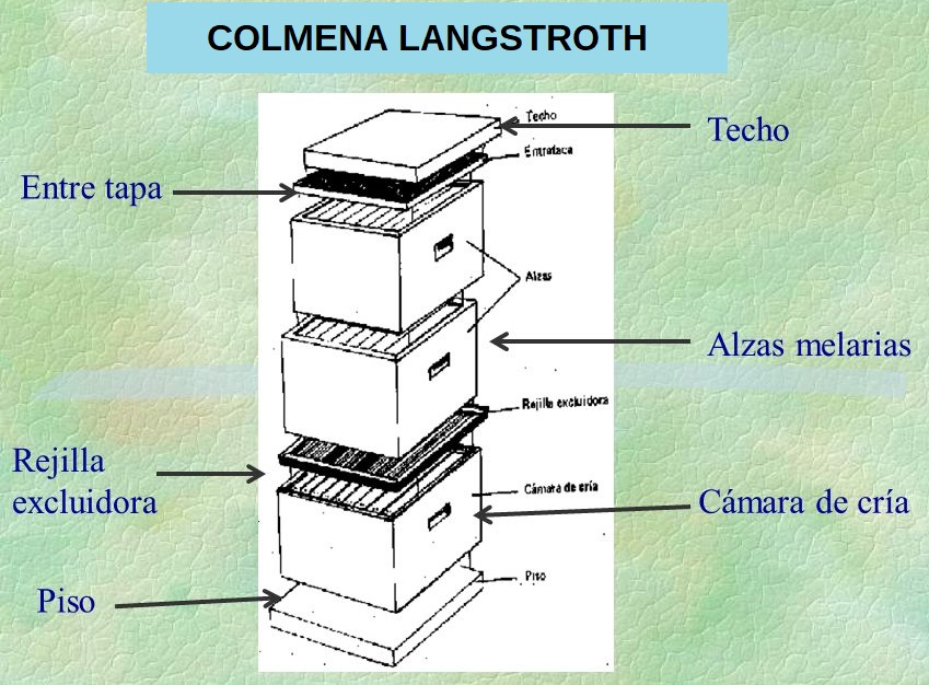 Construcción de una colmena y portanúcleo tipo Langstroth
