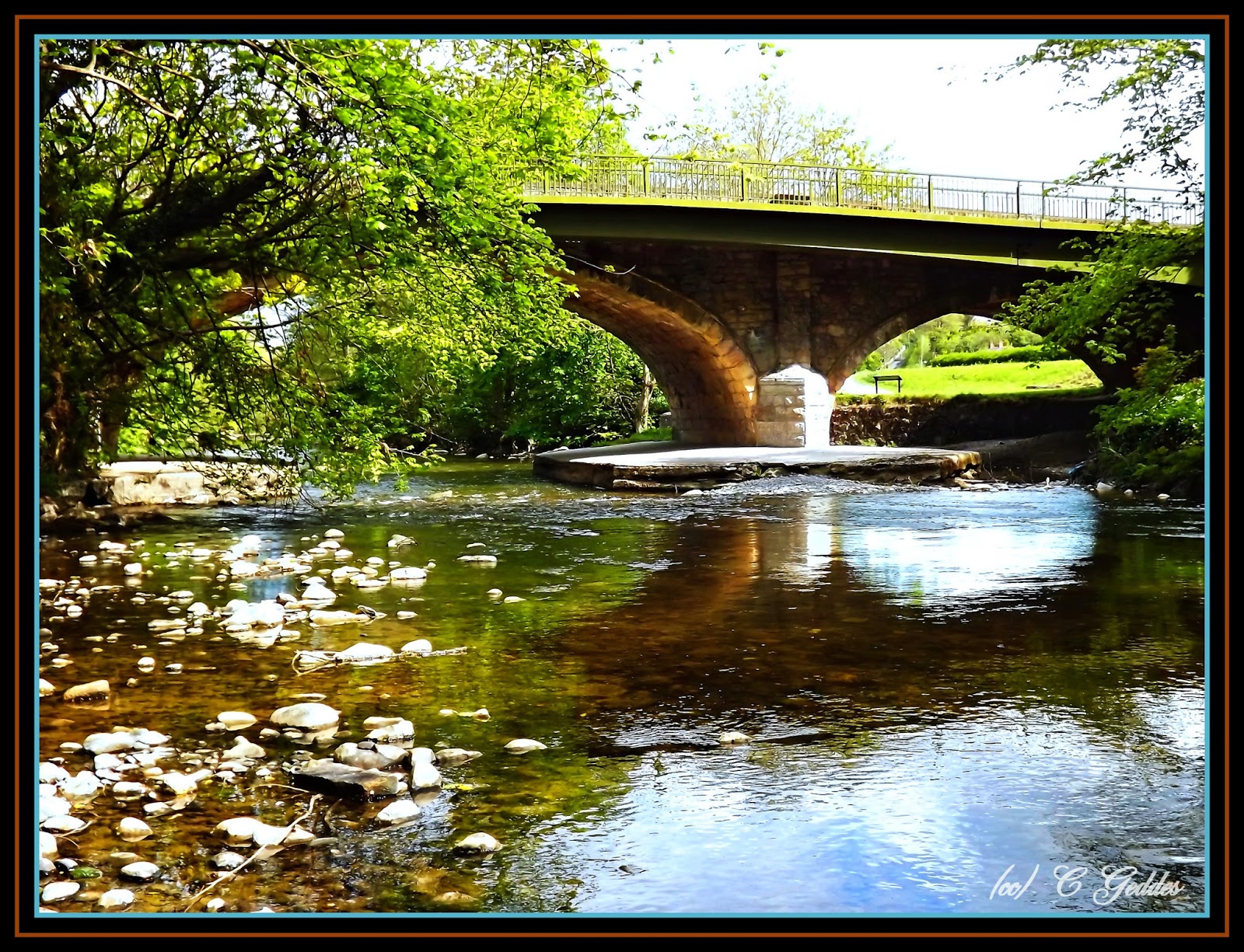 River Elwy and surrounding area Birds, wildlife and more.: Photographs ...