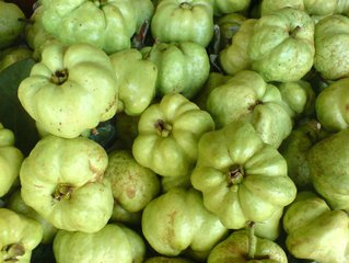 Guova,amrud,guava is very beneficial,guava leaves are very useful which ...