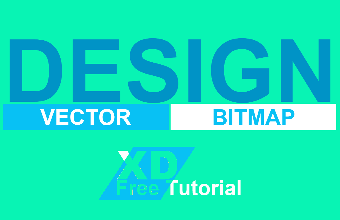 What A Difference Vector And Bitmap Applications Applications On ...