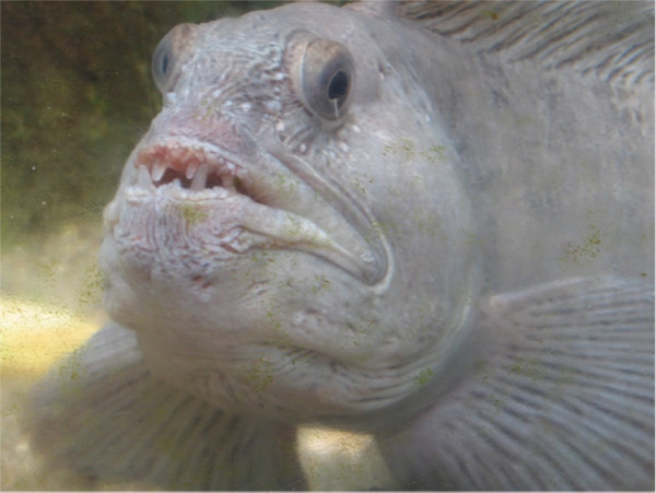 Global Explorers Blog