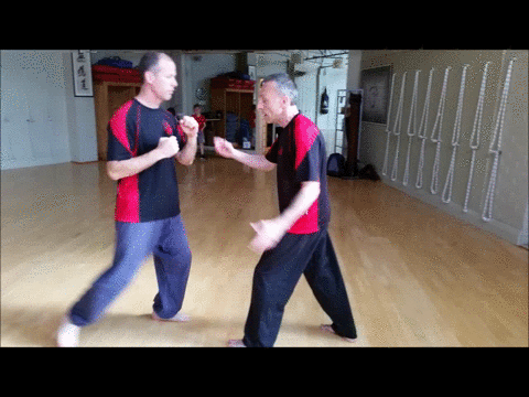 Taijiquan application focus: brush knee