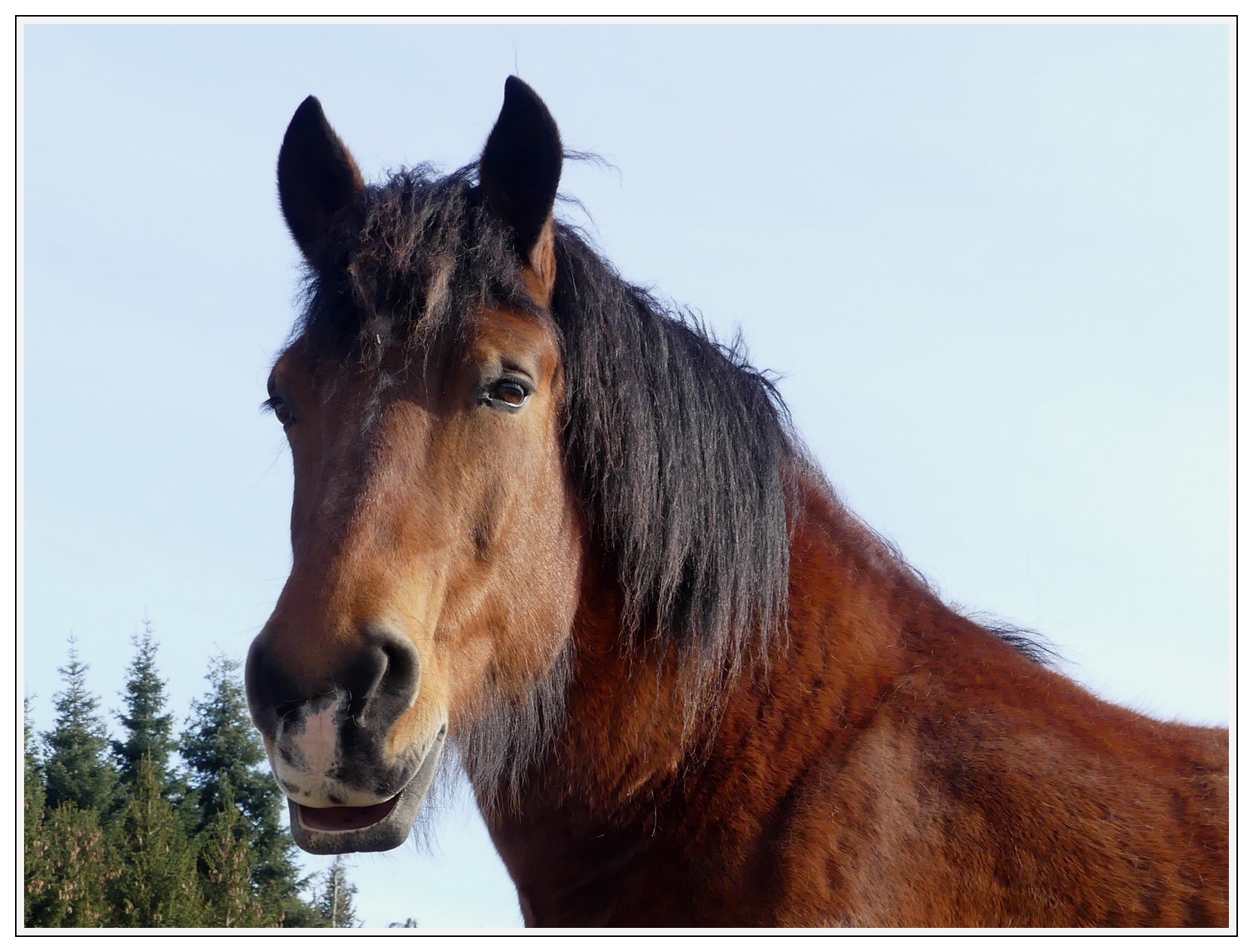 J'ai envie de partager avec vous : mots, photos, musique et tout ce qui ...