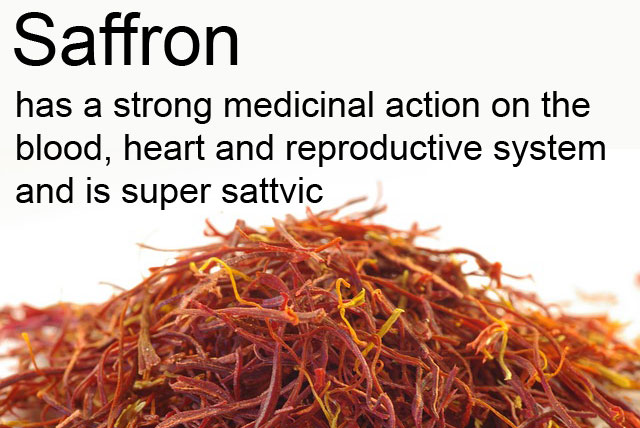 8 Satvik Foods for a Healthy Lifestyle