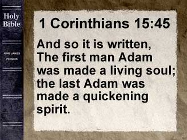 Midwest Independent Baptist Pastor's Fellowship: The Birth of the Last Adam