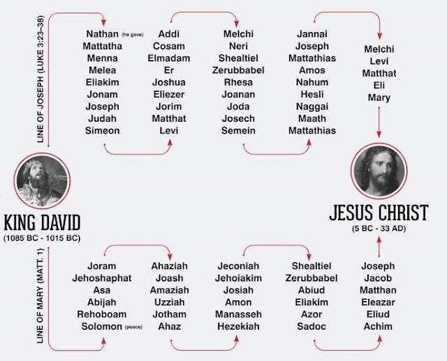 En las genealogías de Jesús ¿hay un parentesco sanguíneo con David?