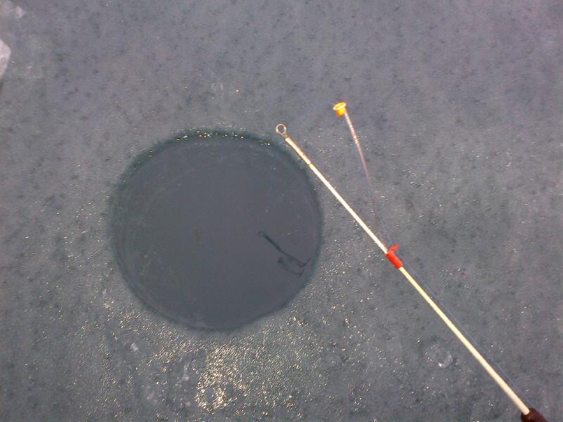 How Does A Spring Bobber Work at Herman Lyons blog