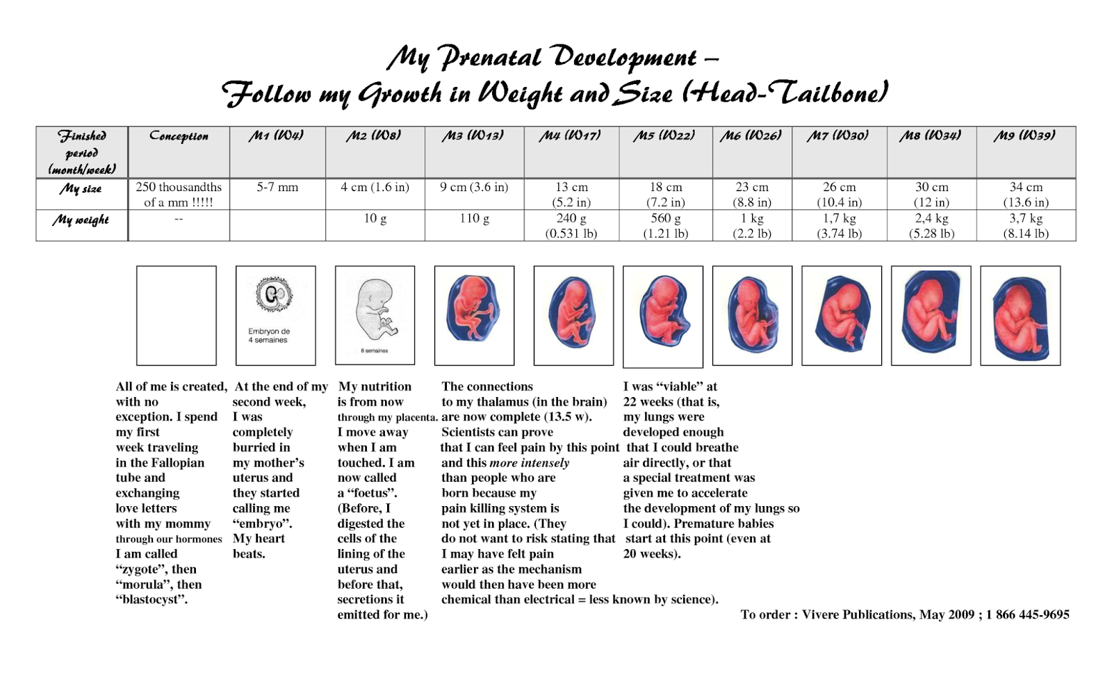 amudu: IMPORTANT LANDMARKS IN FETAL DEVELOPMENT