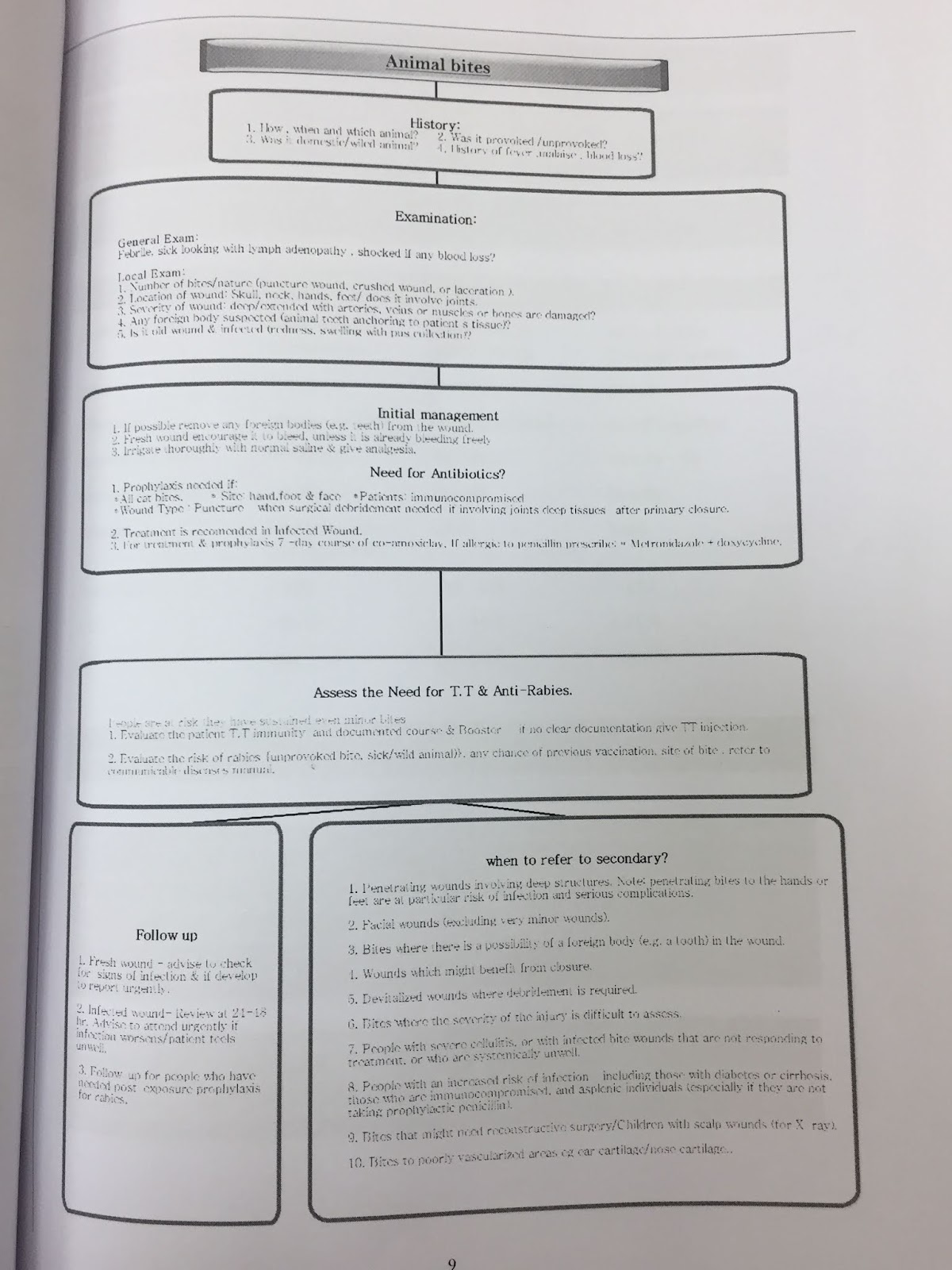 ANIMAL BITE MANAGEMENT